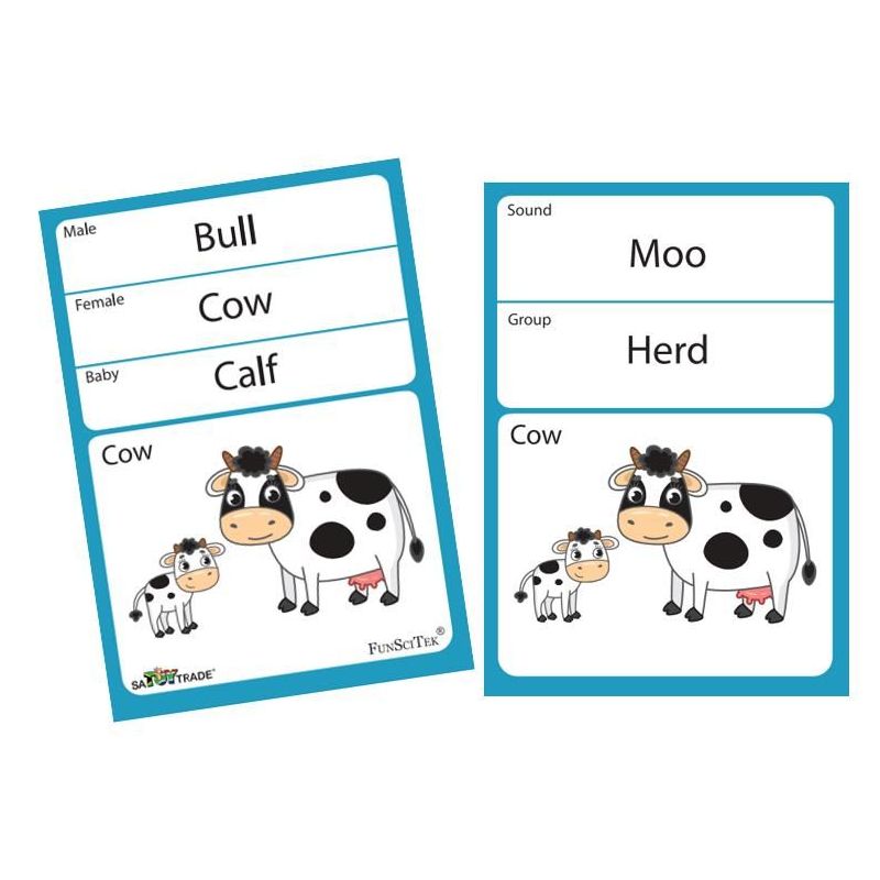 Flash Cards (A6) - Wild Animal & Farm Animals (40pc) D/Sided