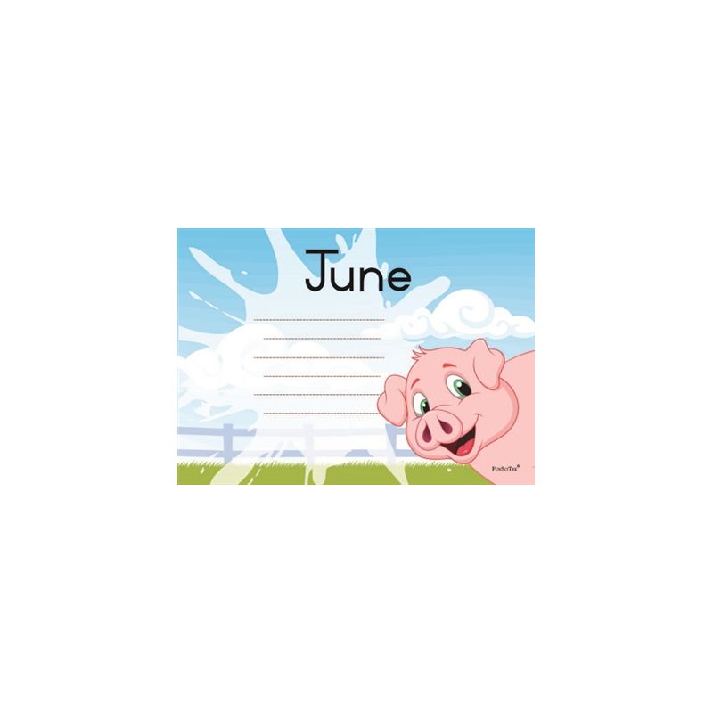 birthday chart - a4 - pig (13pc) | page per month | satoytrade