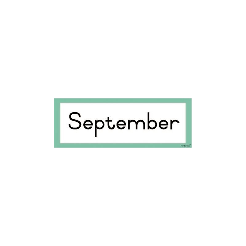 flash cards - months of the year | pocket | satoytrade