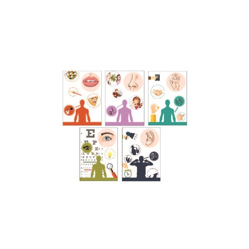 Flash Cards - Set of (10) - English