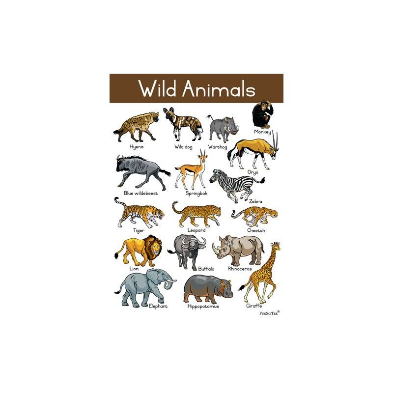 Poster Set - Assorted-Special - ENG (14pc)