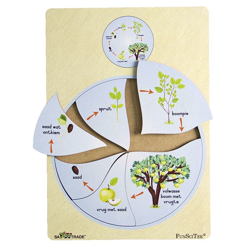 PZ Wood Frame - A4 6pc - Boom Lewensiklus (SP)